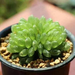 燕姐看交通 