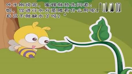 植物的叶在他们生长中起什么作用