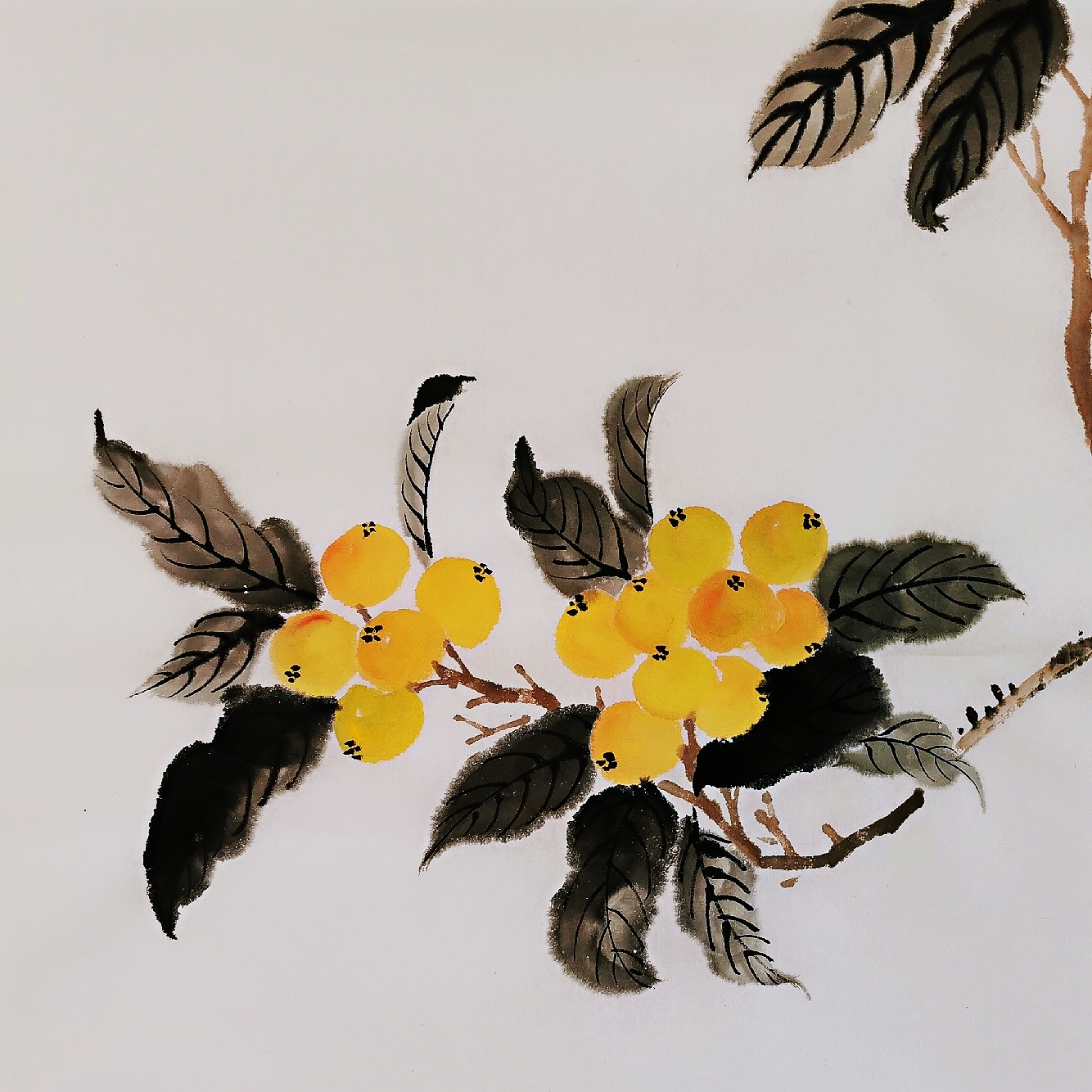 教国画的刘老师 