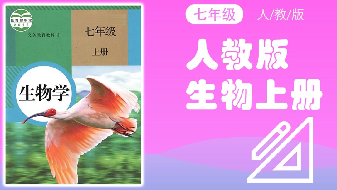 《了解生物圈-- 第二节 生物与环境组成生态系统》