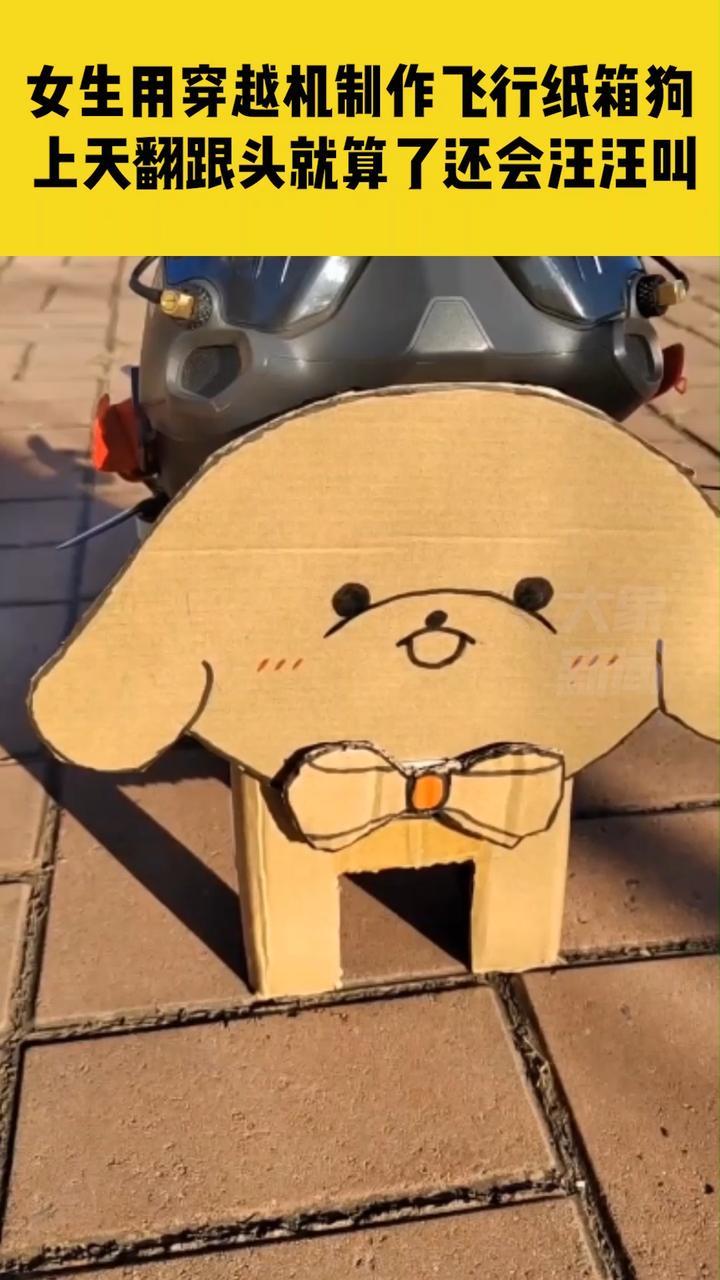 11月1日,辽宁大连,女生用航模穿越机制作飞行纸箱狗, 上天翻跟头就...
