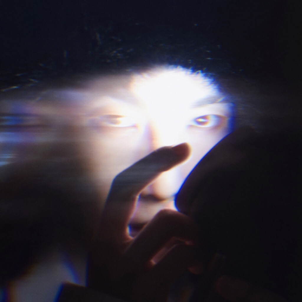 像飞鸟越过大海 