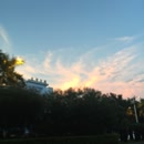 静待花开笑对花落 