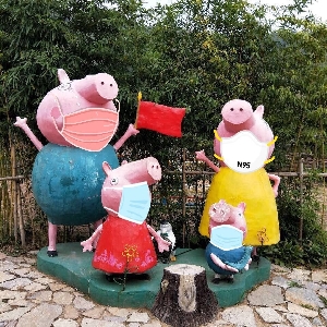是圭圭哦 