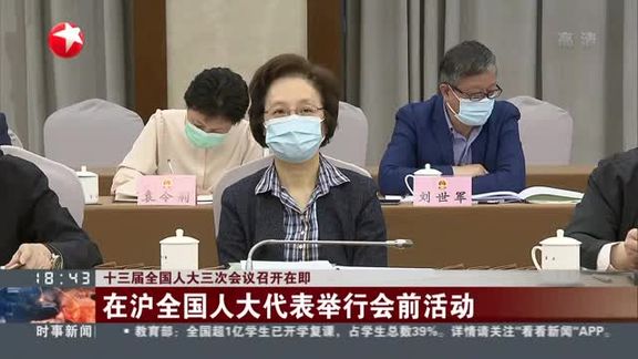 十三届全国人大三次会议召开在即:在沪全国人大代表举行会前活动