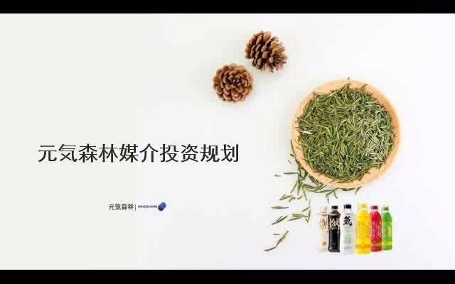 元気森林媒介投资规划方案