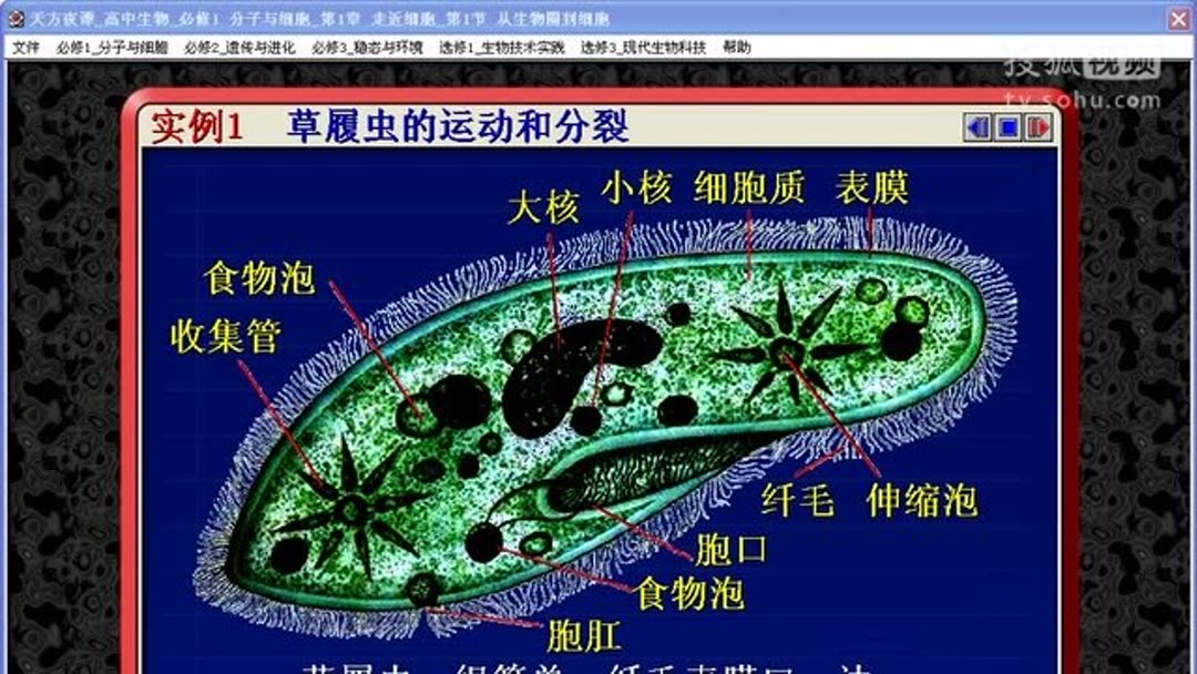 11102_生命活动离不开细胞 实例1 草履虫的运动和分裂17:25