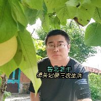 鲁北老于 