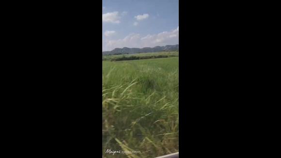 随手记,回老家了