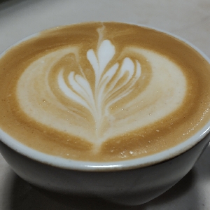 檬茶茶咩 