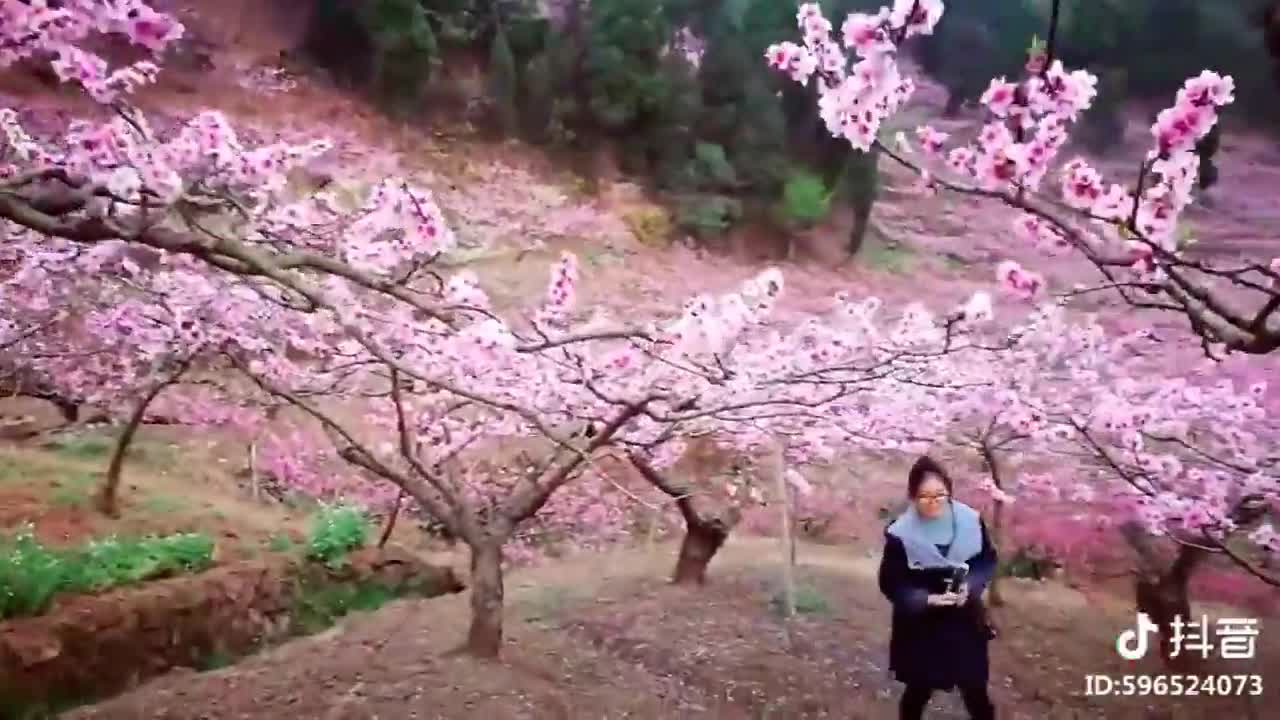 稿件视频1(桃花生活运动点赞)