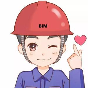 BIM设计师皮皮匠 