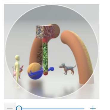 无字幕的游戏鸡 