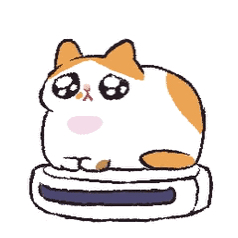 李白白说他不想养猫 