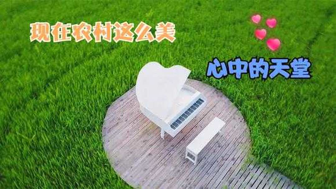 现在的稻田居然这么美?开启美丽时间