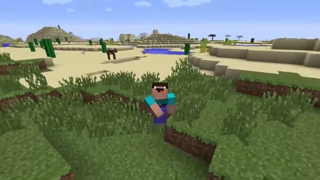 我的世界-沙漠与森林的交汇处