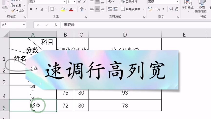 快速调整行高列宽,1秒美化表格。