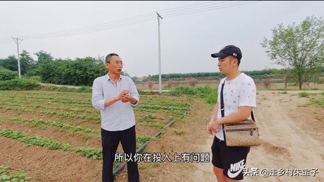 别再做有机农业了,传统农业破局要讲究方法,中道农业思维听一下