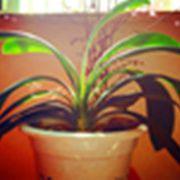 邓老师教育论坛 