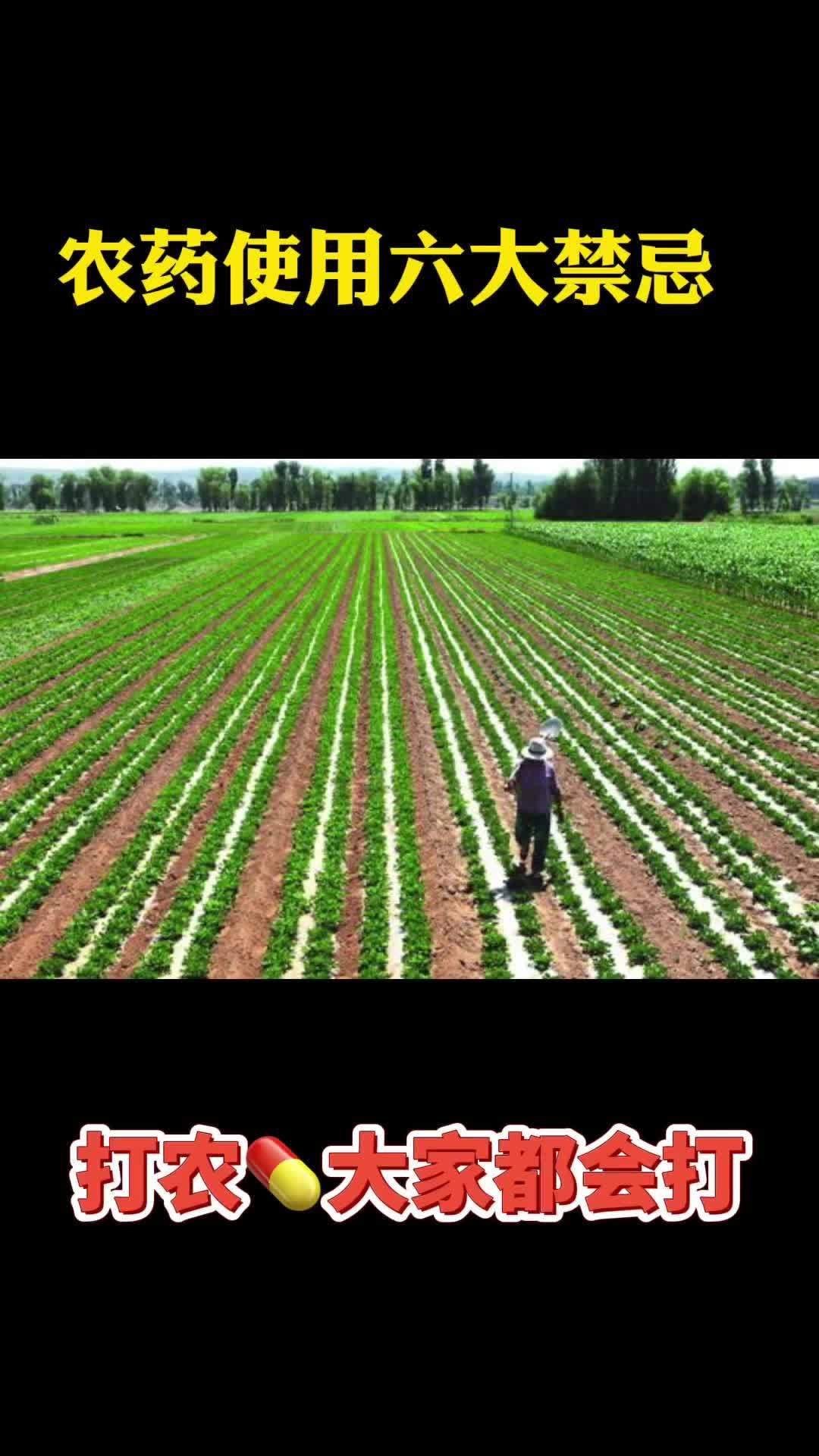 农药使用六个禁忌,一定要收藏#三农种植