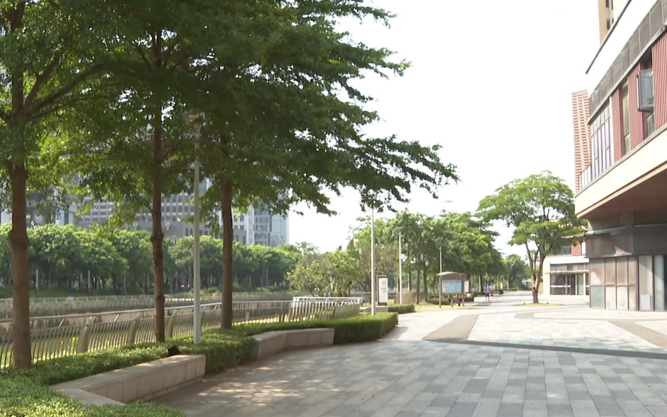 南庄组织人大代表视察黄埔涌河岸护栏安装情况