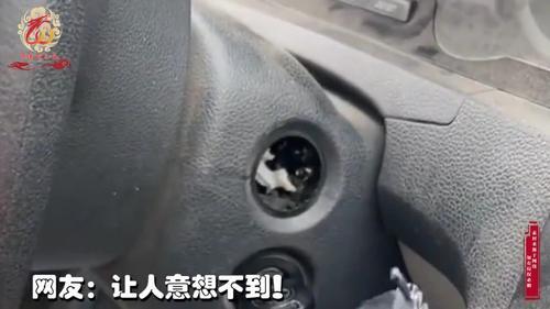女子练车掰断雨刷器开关,教练:我是让她用力打方向盘,意想不到
