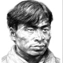 喜欢喝纯净东野问香 