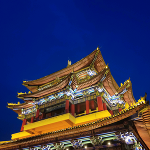 有态度网友0irTY0 