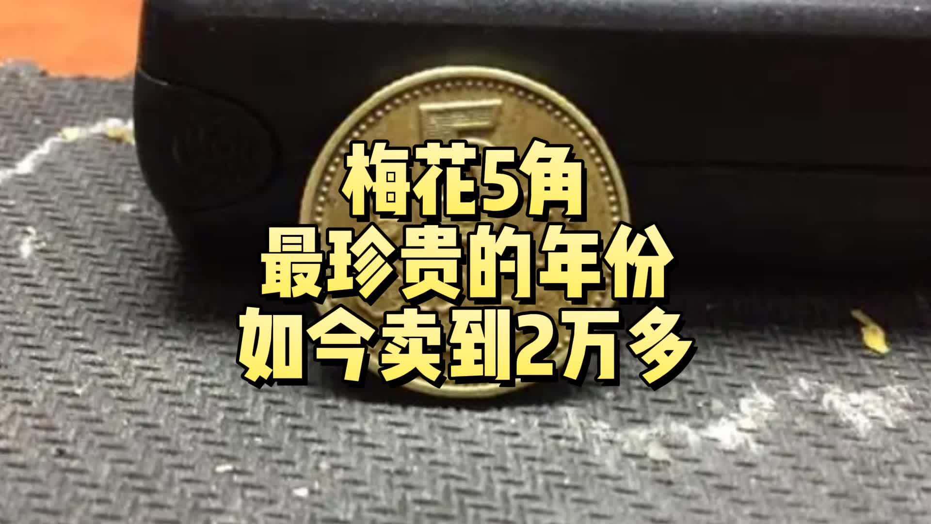 梅花5角最珍贵的年份,已经能拍2万多,谁有