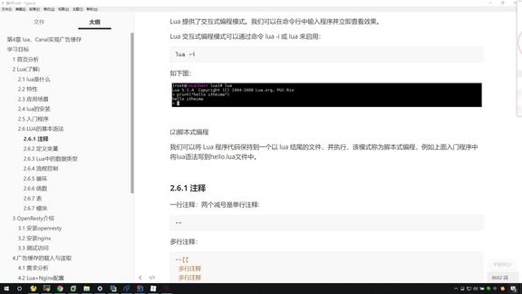 SpringBoot项目畅购商城_day4_8-Lua基本操作命令讲解