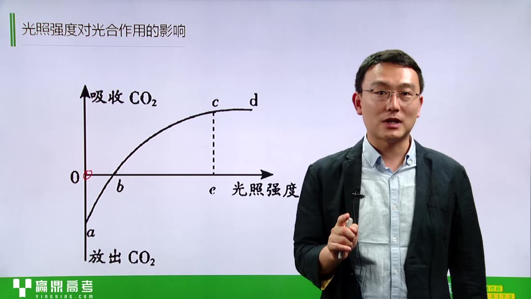 高中生物-细胞呼吸和光合作用(二)-肖振龙