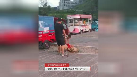 情愿打架也不制止自家宠物狗撕咬别人家的狗 都是啥节奏?