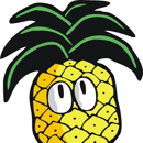 我的世界凤梨解说 