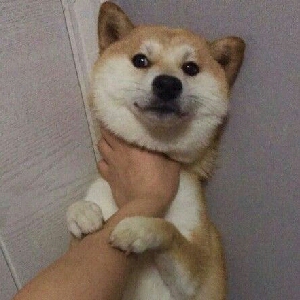 沙雕大世界啦啦 