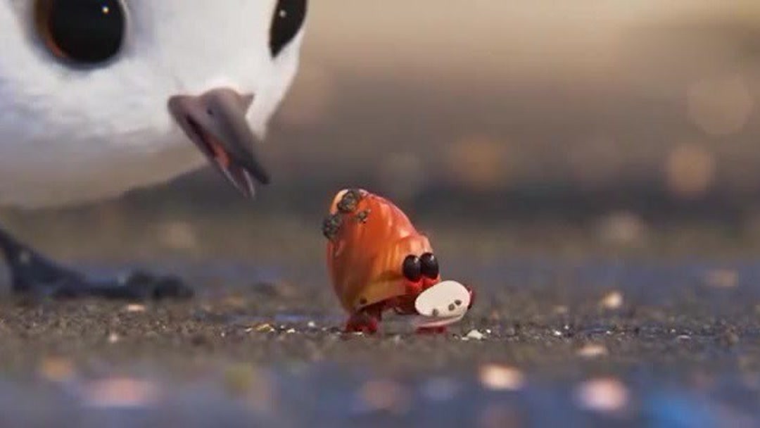 奥斯卡最佳动画短片《鹬》