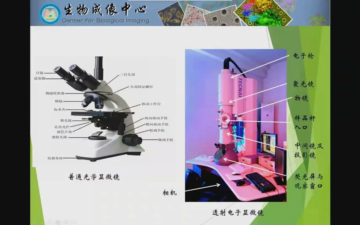 利用电子显微镜获取生物样品三维结构信息的主要方法