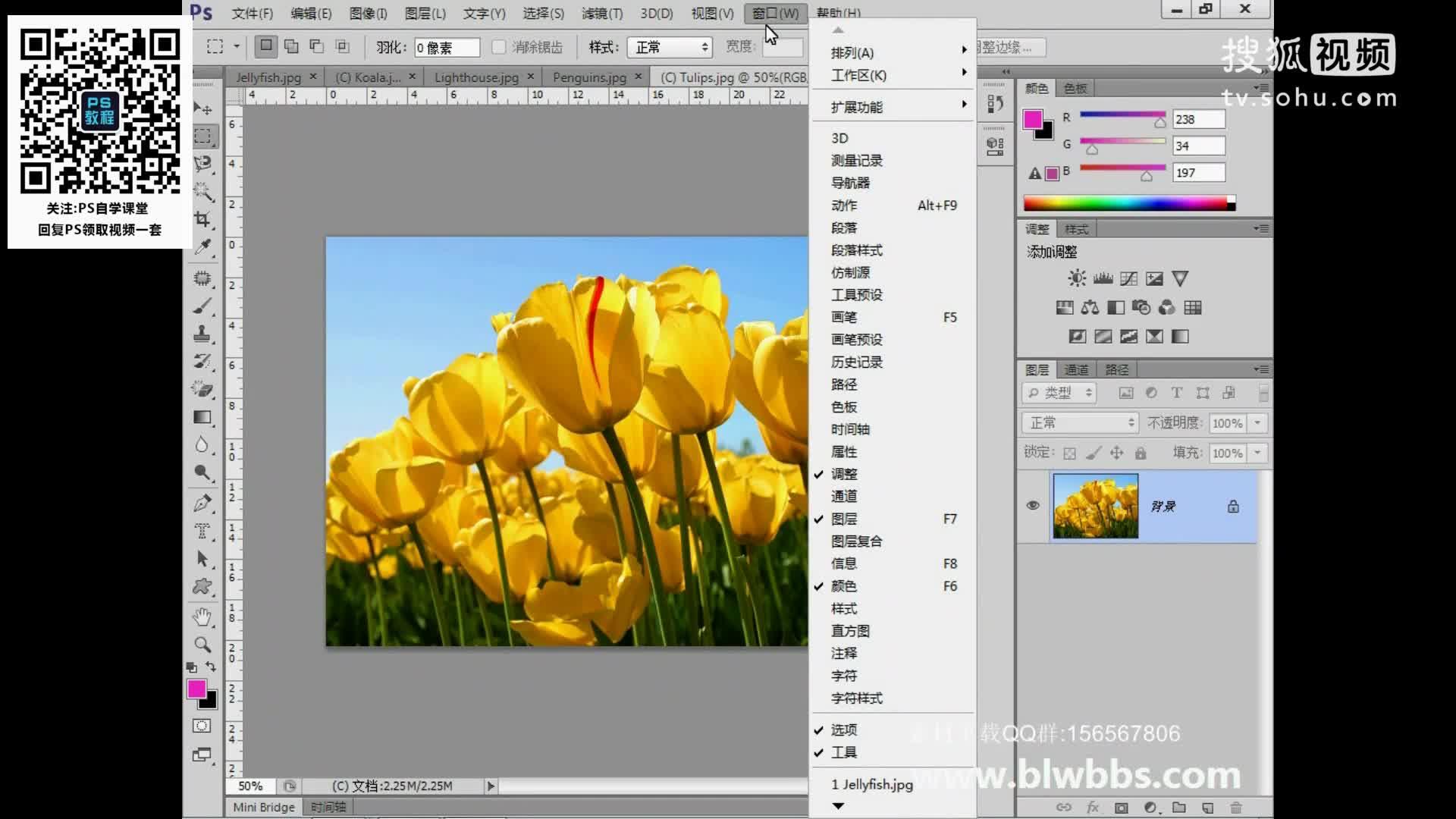 Photoshop CC教程51我要自学网PS联盟视频全集ps教程入门PS教程1 ...