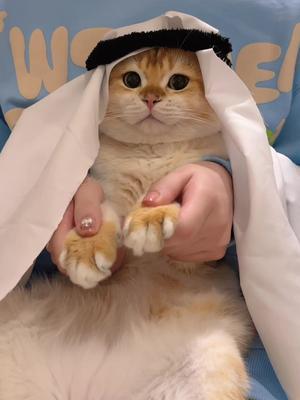 卡塔尔小猫哇咔哇咔 #全世界都在wakawaka #世界杯 #wakawaka