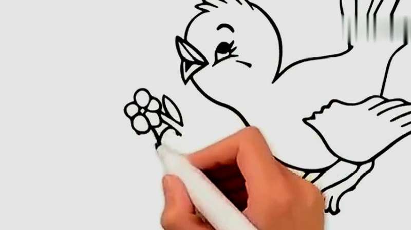 给宝宝画画春天的小鸟,亲子简笔画,很简单,太好玩了