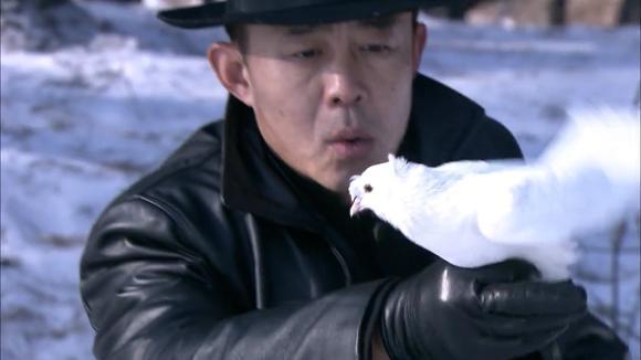 鬼子以为可以把八路一网打尽,结果卧底用鸽子传信,鬼子都没发现