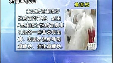 历史上的重大传染病