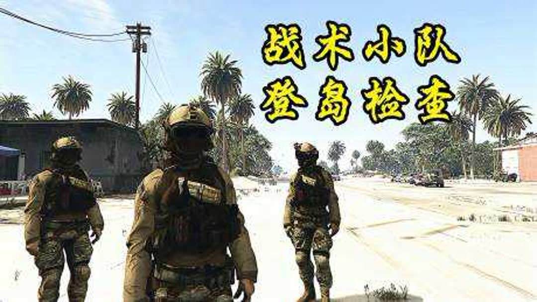 战术小队模拟器 登岛进行例行检查 NPC一脸懵的看着我