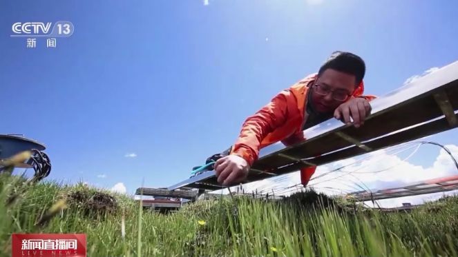 央视新闻 | 让青春在新时代绽放绚丽之花:全国政协委员陈槐