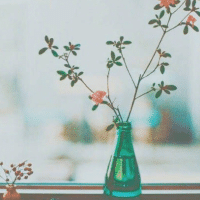 夕阳下的小虾米 