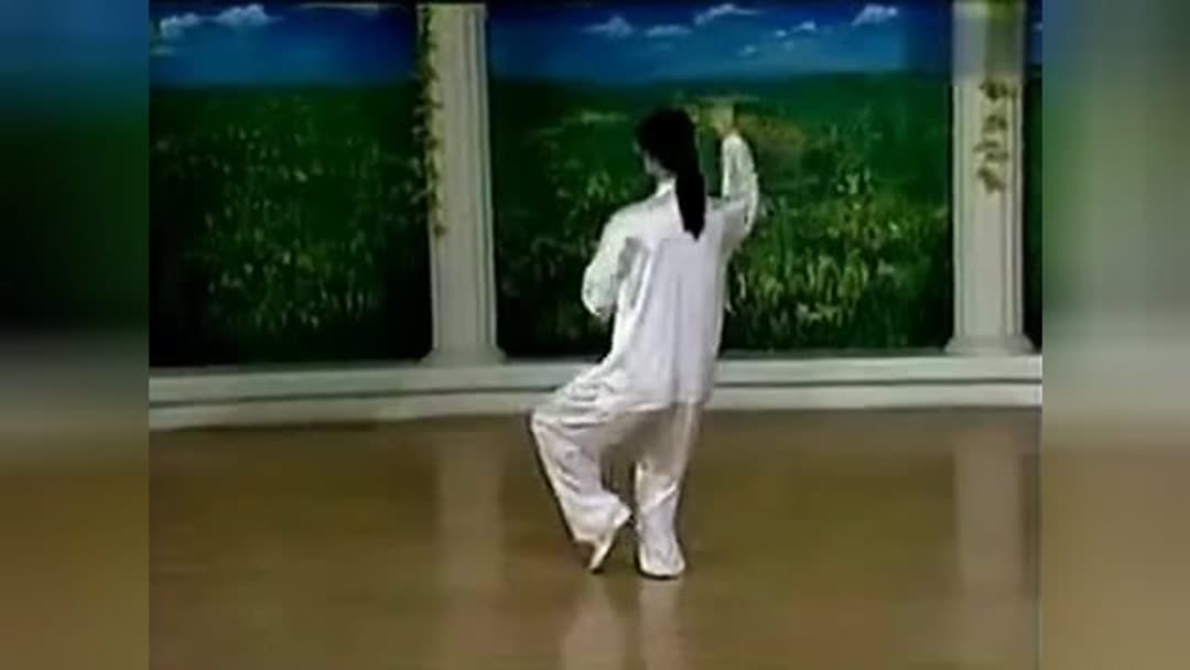 八式太极拳(带口令)背向演练_邱慧芳