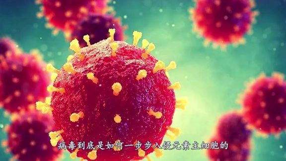 带你从微观世界了解,病毒到底是如何一步步入侵宿主细胞的!
