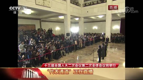 [十三届全国人大二次会议]“代表通道” 人民日报社记者向董明珠提问