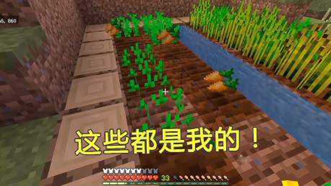 我的世界联机57墨哥被大蜀带坏了现在村民看到墨哥就喊打