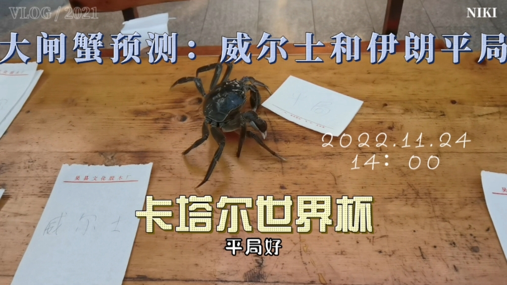 大闸蟹预测世界杯第三季:威尔士踢平伊朗