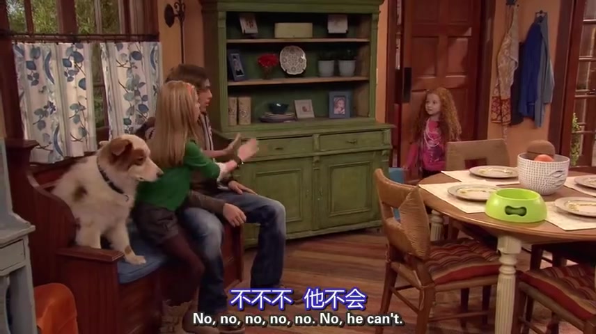 狗狗博客,快乐学英语--第一集(中)